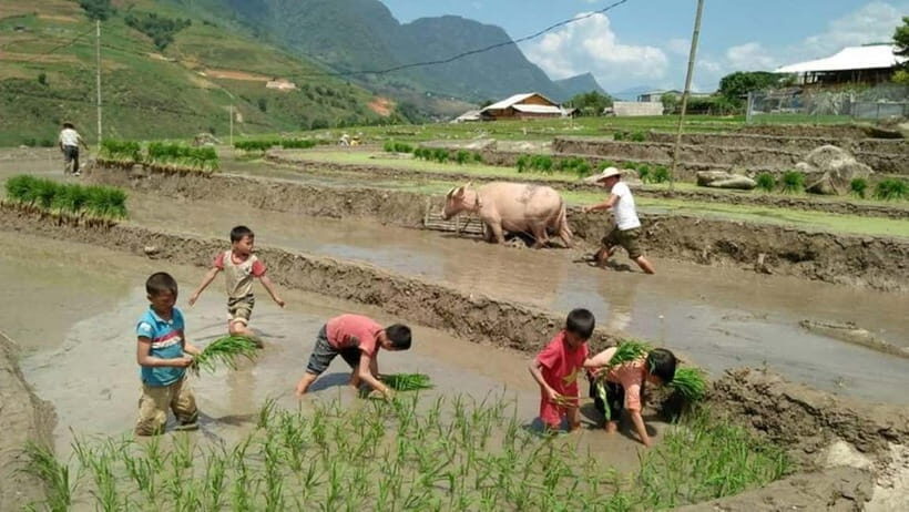 Sapa Trekking 3 Days 2 Night - VIP Sleeper Bus from Hanoi - Transportation: A Well-Thought-Out Choice