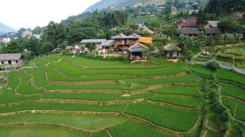 Sapa Trekking 3 Days 2 Night - VIP Sleeper Bus from Hanoi - Final Thoughts: Who Will Love This Tour?