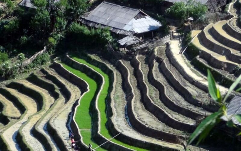 Sapa Trekking 3 Days 2 Night - VIP Sleeper Bus from Hanoi - Who Will Love This Experience?