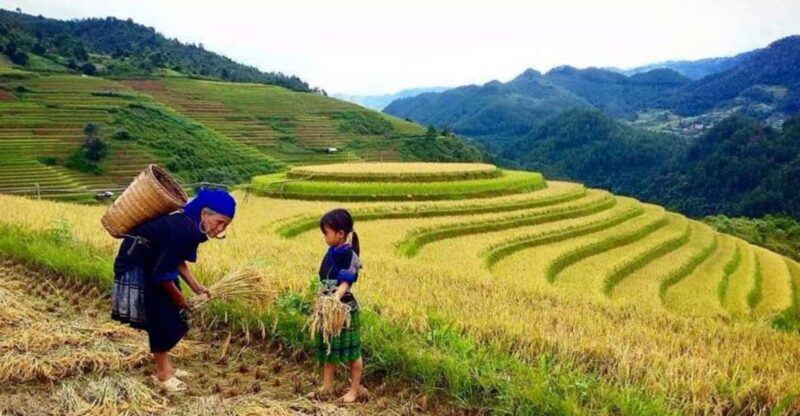 Sapa Trekking 3 Days 2 Night - VIP Sleeper Bus from Hanoi - The Sum Up: Is It Worth It?