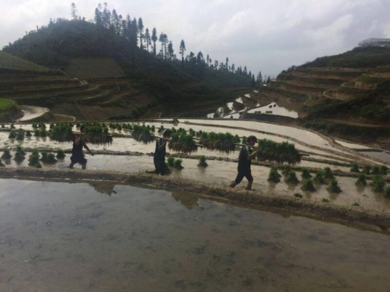 Sapa Trekking 3 Days 2 Night - VIP Sleeper Bus from Hanoi - FAQ: Your Questions Answered