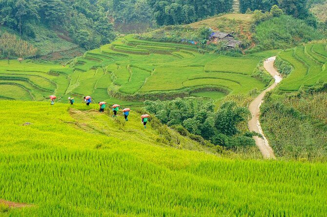 Sapa Trekking 3 Days 2 Nights (Hotel) - Departure From Hanoi - The Sum Up