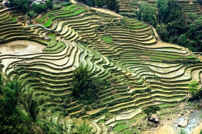 Sapa Trekking 3Day - 2 Night By Sleeper Bus - Final Thoughts