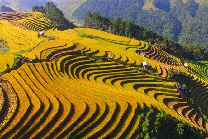Sapa trekking at homestay from Hanoi - FAQs