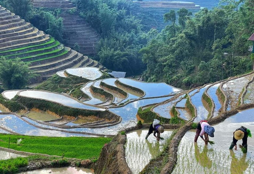 Sapa Trekking Discover Terraced Fields & Ethnic Villages - The Sum Up