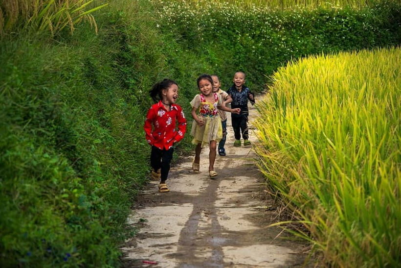 Sapa Trekking Explore Terraced Rice Fields, Ethnic Culture - The Sum Up