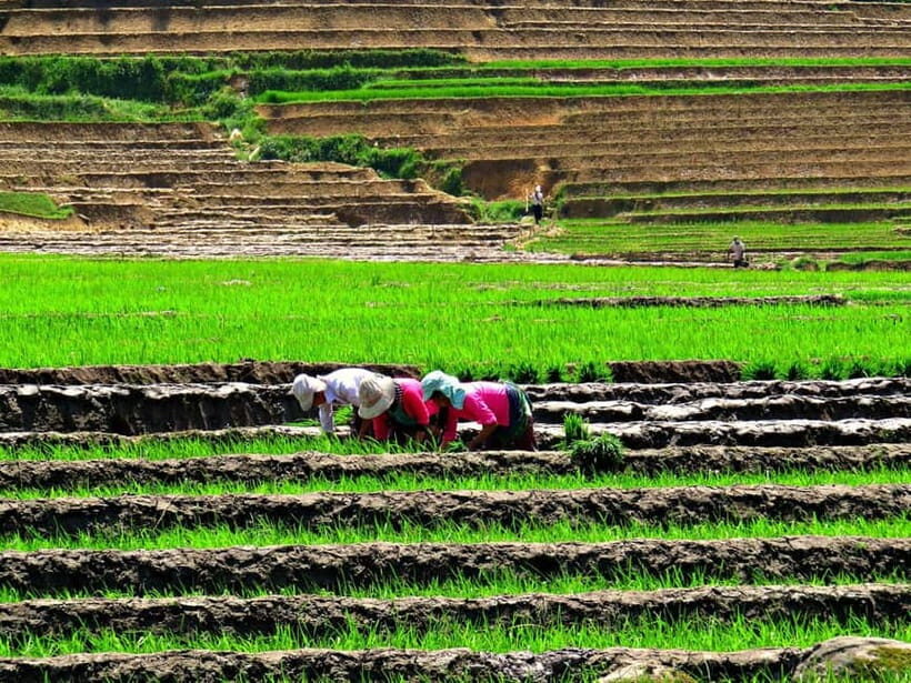 Sapa Trekking Guide Francophone 2 days  1 night - What’s Included and What to Keep in Mind