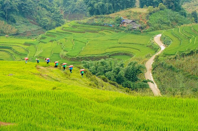 Sapa Trekking & Homestay 2 Days 1 Night - What Travelers Say