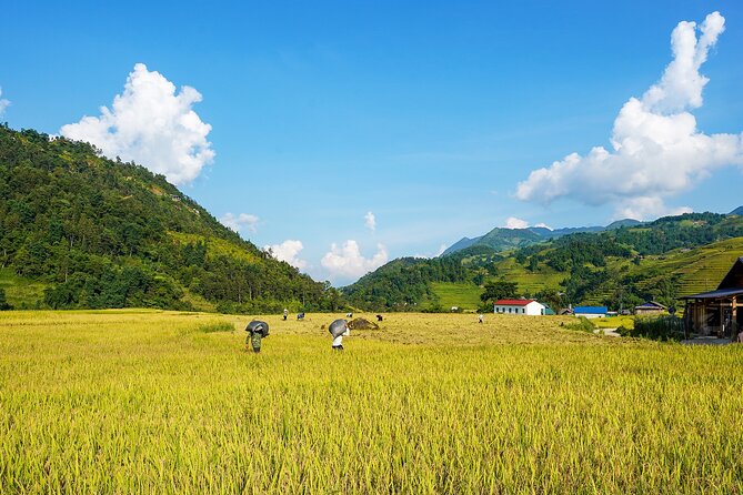 Sapa Trekking & Homestay 2 Days 1 Night - Transportation & Comfort