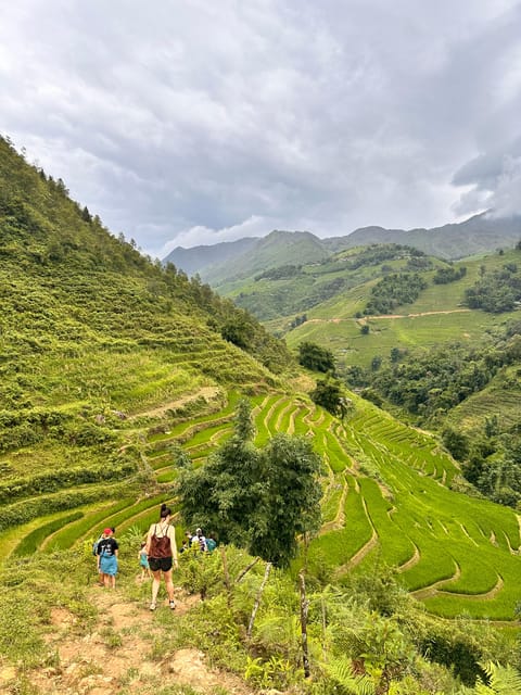 SAPA TREKKING, RICE FIELDS, LOCAL VILLAGES, BAMBOO FOREST - Discovering Sapa’s Natural Beauty and Culture