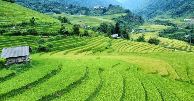 Sapa: Trekking Sapa One Day With Group Tour - Who Should Consider This Tour?