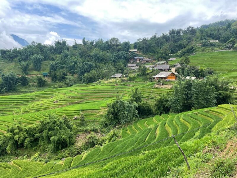 Sapa: Trekking Through Terraced Rice Fields & Valley 1 Day - Authentic Experiences & Local Culture