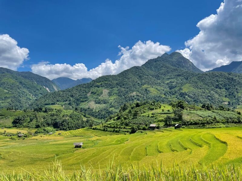 Sapa: Trekking Through Terraced Rice Fields & Valley 1 Day - Final Thoughts: Is This Tour Right for You?