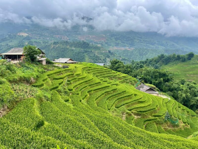 Sapa: Trekking Through Terraced Rice Fields & Valley 1 Day - FAQ