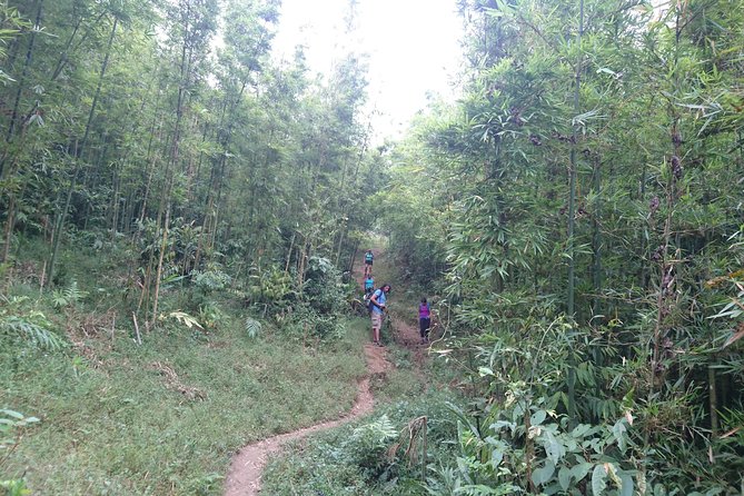 Sapa Trekking Tour - 1 day - The Itinerary in Detail: What You’ll See and Do