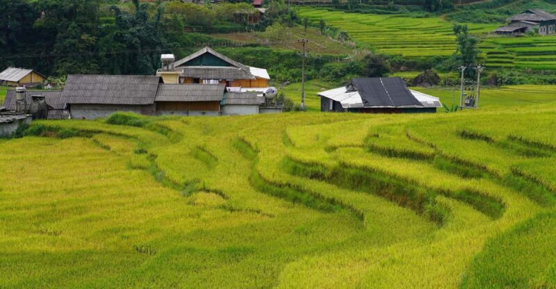 Sapa Trip to Y Linh Ho - Lao Chai - Ta Van - Cat Cat Village - Authentic Experiences and Traveler Feedback