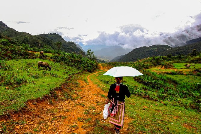 Sapa Valley Trek and Homestay - 3D2N - The Sum Up: Who Will Love This Tour?