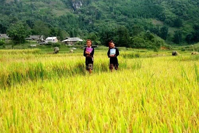 Sapa Valley Trek and Homestay - 3D2N Private Tour - FAQ