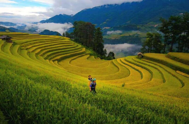 Sapa Villages And Rice Terraced Trekking - 1Day - Key Points