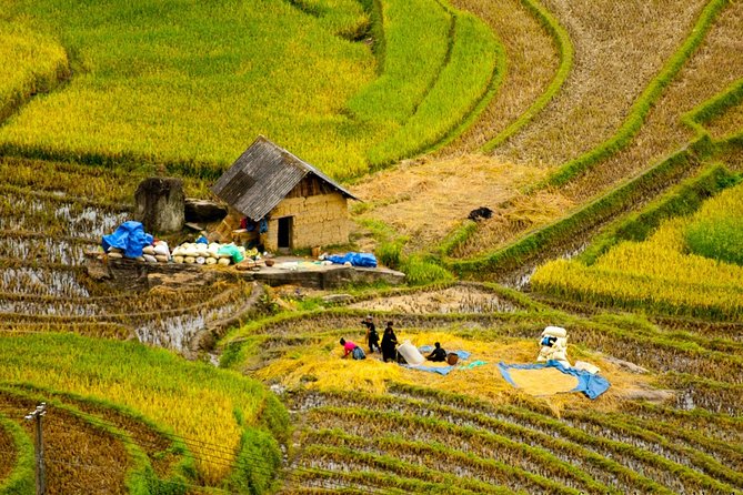 Sapa Villages trekking and homestay 2 Days/ 1 night package tour: best selling - What the Reviews Say