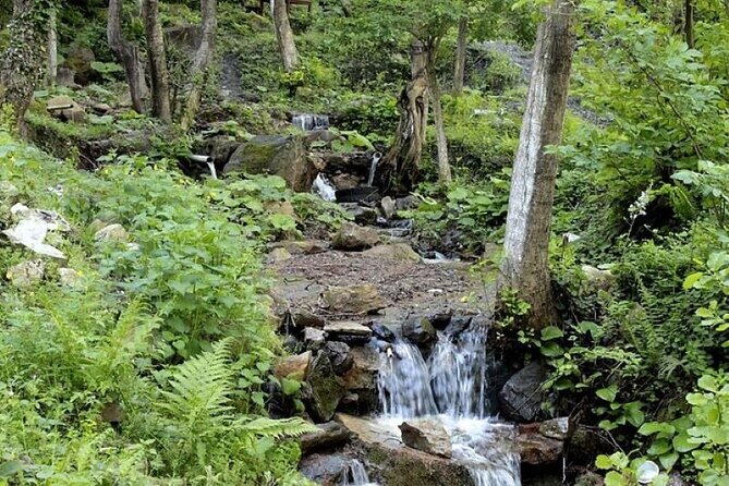 Sapanca and Masukiye from Istanbul with Lunch and Hotel pickup - Mahmudiye Village: A Taste of Rural Life