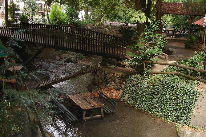 Sapanca and Masukiye Tour From Istanbul Lunch Included - Tour Duration and Group Size