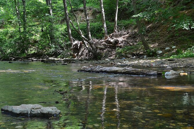 Sapanca and Masukiye Tour From Istanbul Lunch Included - Transportation and Inclusions