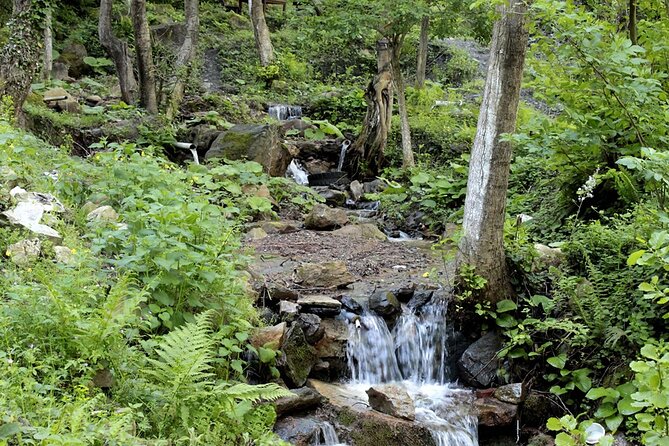 Sapanca and Masukiye Tour From Istanbul Lunch Included - Pricing and Cancellation Policy