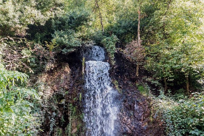 Sapanca And Masukiye Tour With Lunch - Full Day - Who Will Enjoy This Tour?