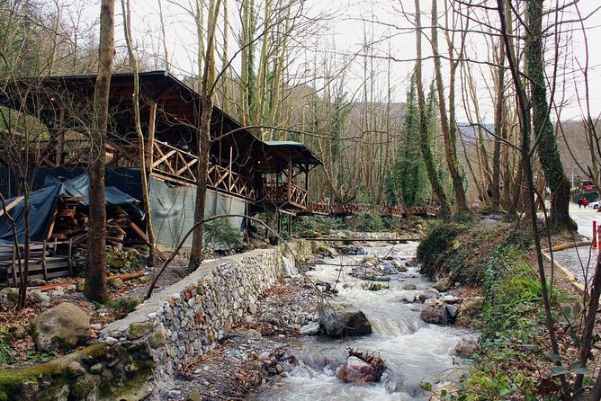 Sapanca And Masukiye Tour With Lunch - Full Day - The Sum Up