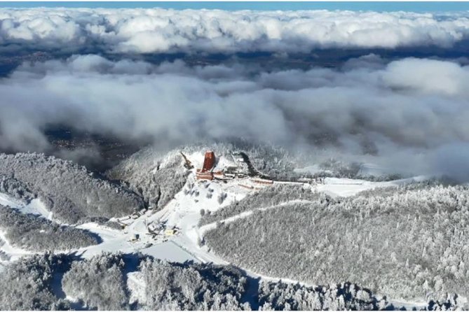 Sapanca and Zoo Private Tour From Istanbul - VIP Minivan - Best Quality - A Deep Dive into the Experience