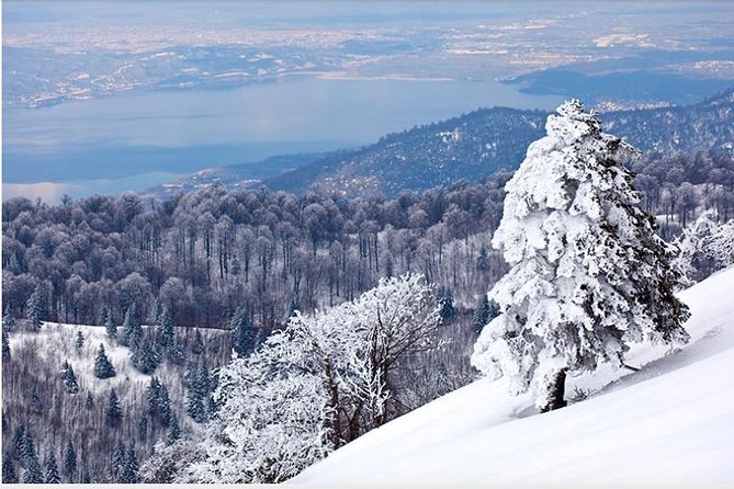 Sapanca and Zoo Private Tour From Istanbul - VIP Minivan - Best Quality - Who Should Consider This Tour?