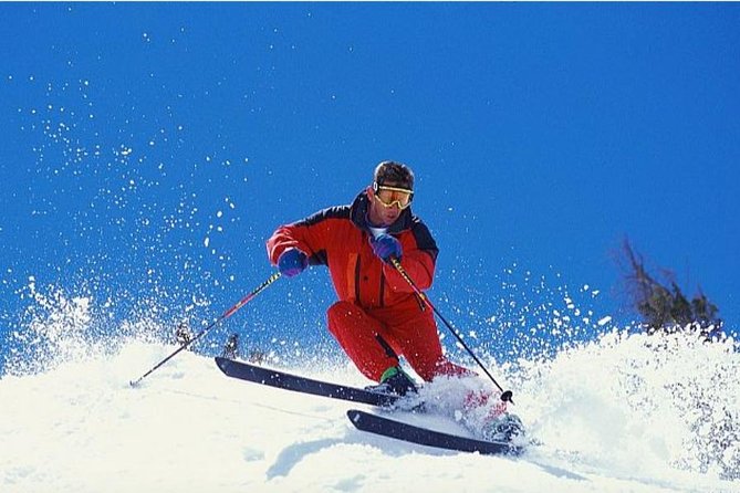 Sapanca and Zoo Private Tour From Istanbul - VIP Minivan - Best Quality - Final Thoughts