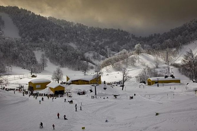 Sapanca and Zoo Private Tour From Istanbul - VIP Minivan - Best Quality - FAQ