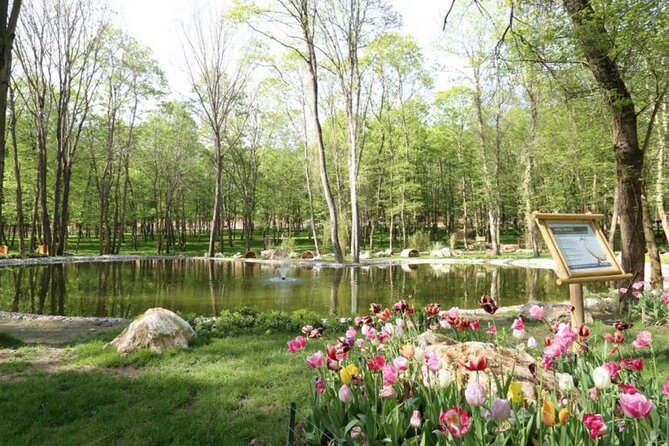 Sapanca Lake and Masukiye Tour from Istanbul - The Sum Up