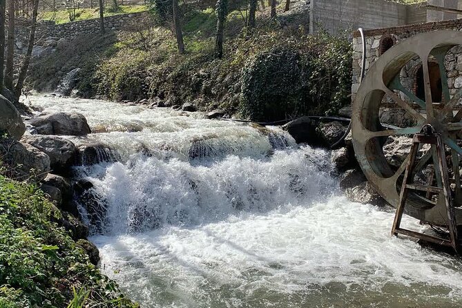 Sapanca Lake Tour With Lunch From Istanbul - What to Expect