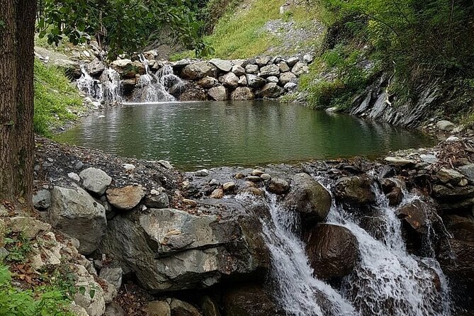 Sapanca Lake Tour With Lunch From Istanbul - Reviews and Feedback