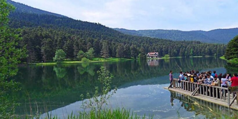 Sapanca & Masukiye Full-Day Tour with Lunch and Transfers - A Practical, In-Depth Look at the Tour Experience