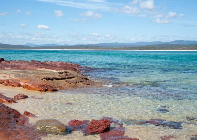 Sapphire Coast: 7h Shore Excursion with Aussie Morning Tea - The Small Group Experience and Practical Details