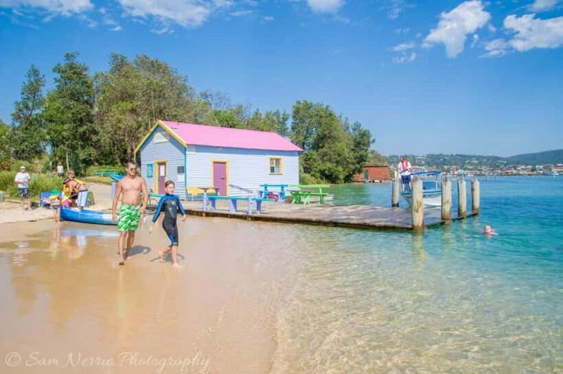 Sapphire Coast: 7h Shore Excursion with Aussie Morning Tea - Who Would Love This Tour?