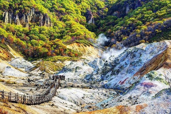 Sapporo 6hr Private Tour With Government Licensed Guide - Group Size and Accessibility