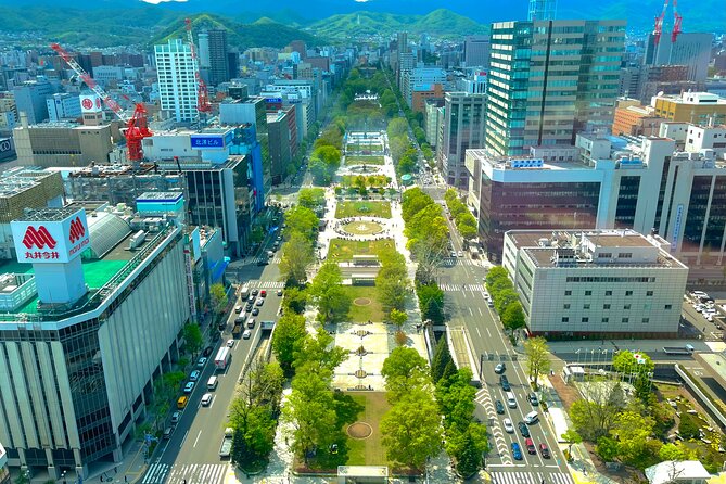 Sapporo Afternoon Walking Tour 2h 30mins - Traveler Experiences