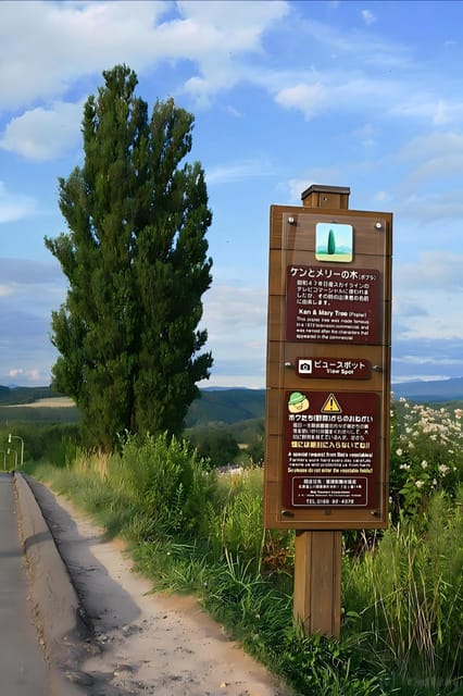 Sapporo: Asahikawa Zoo, Shirahige Falls, Ningle Terrace Tour - Seasonal Changes and Updates