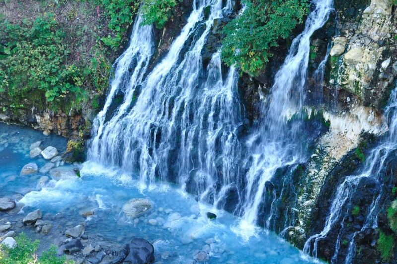 Sapporo: Asahiyama Zoo and Shirahige Falls Trip With Ticket - Key Points