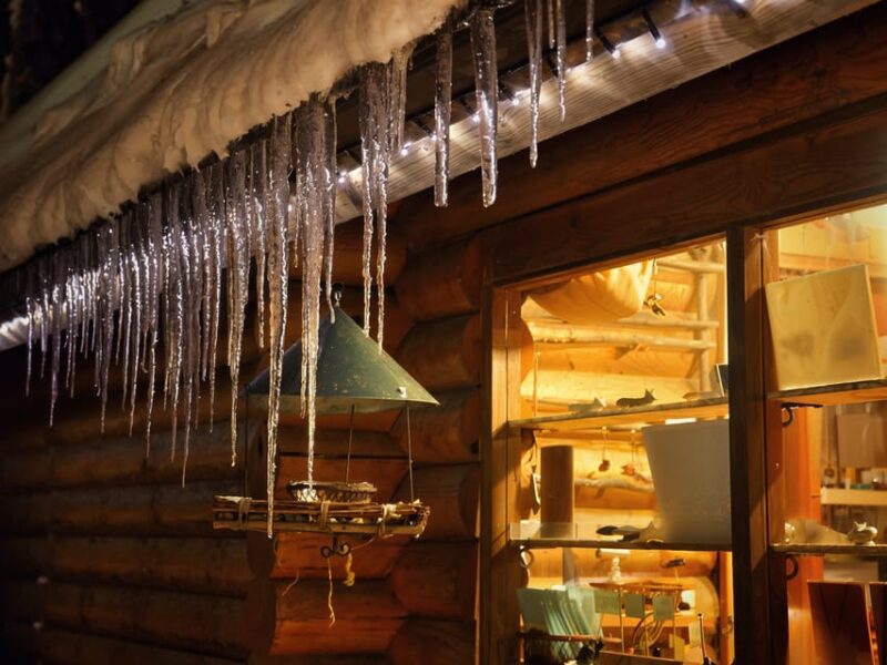 Sapporo: Asahiyama Zoo and Shirahige Falls Trip With Ticket - Important Information