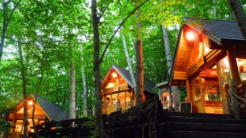 Sapporo: Furano Flower Sea & Biei Blue Pond Tour w/ Pickup - Who This Tour Is Perfect For