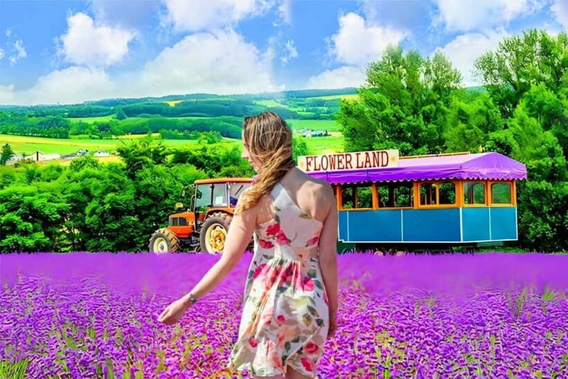 Sapporo: Furano Lavender & Biei Blue Pond Tour with Lunch - Discovering Hokkaido’s Natural Gems in a Day