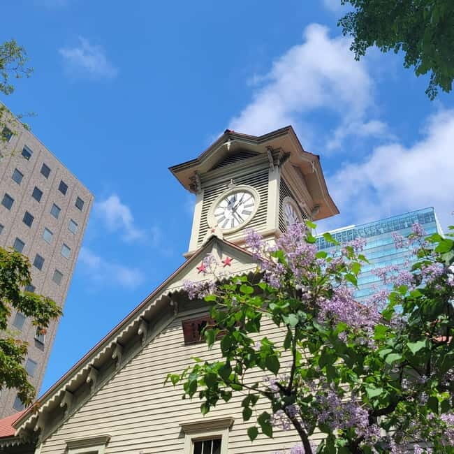 Sapporo Highlights: Golden Route Morning Guided Walking Tour - Pricing and Value for Money