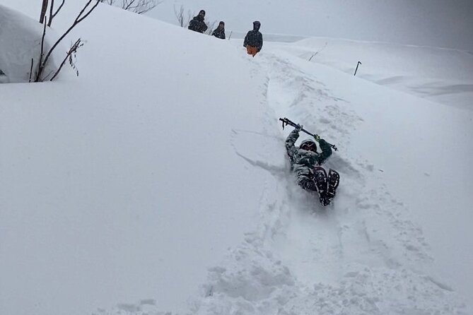 Sapporo Private Sightseeing Tour in Onsen With Special Package - Health and Accessibility