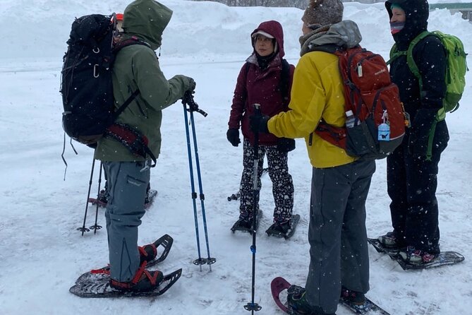 Sapporo Private Sightseeing Tour in Onsen With Special Package - Pricing and Booking